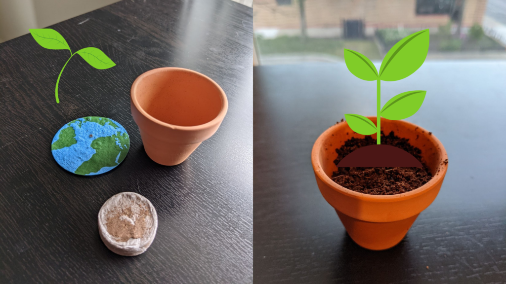 June Teen Grab & Go Craft: Plant Kit - Deerfield Public Library