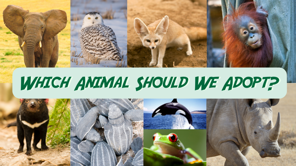 Which Animal Should We Adopt? - Deerfield Public Library